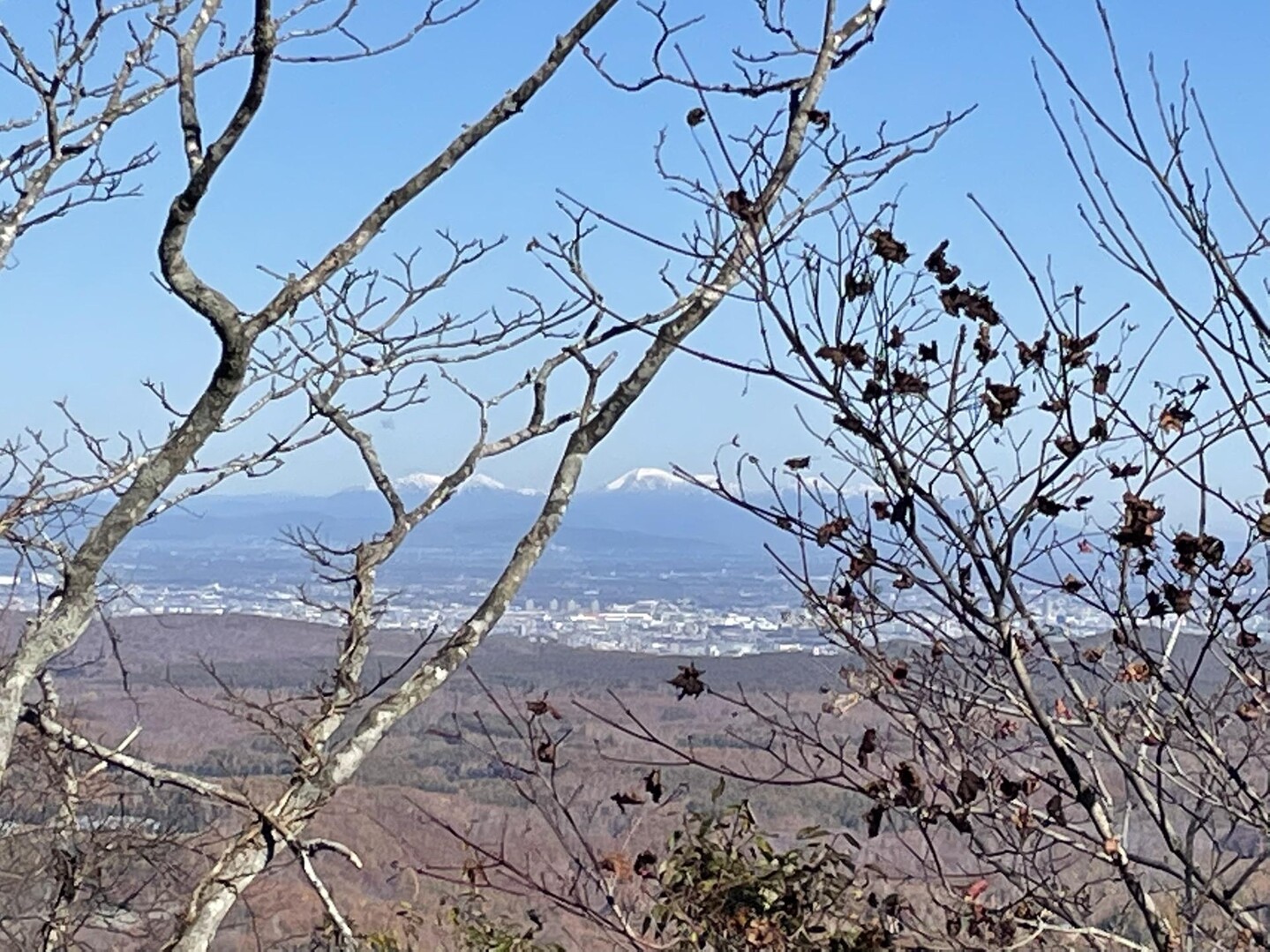 野牛山 / akorenaさんの野牛山・北広山の活動データ | YAMAP / ヤマップ