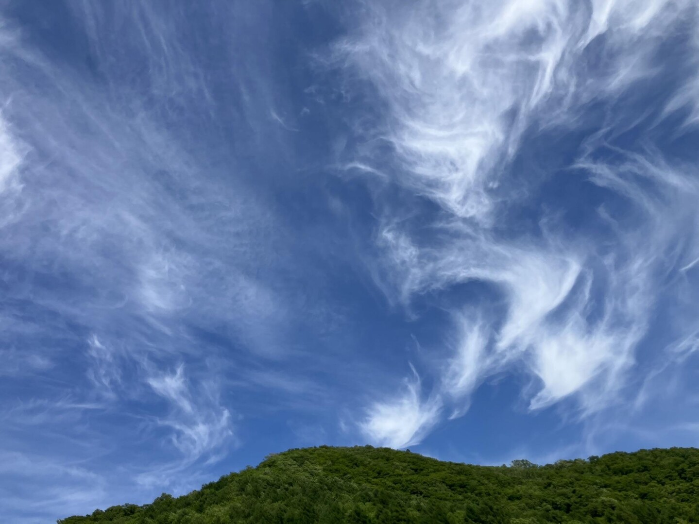 藻岩山 / yuzuさんの藻岩山の活動データ | YAMAP / ヤマップ