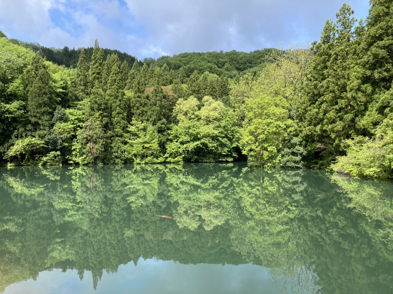 本日 一座目 三床山 / puyoさんの三床山・牧山・幸山の活動日記 | YAMAP / ヤマップ
