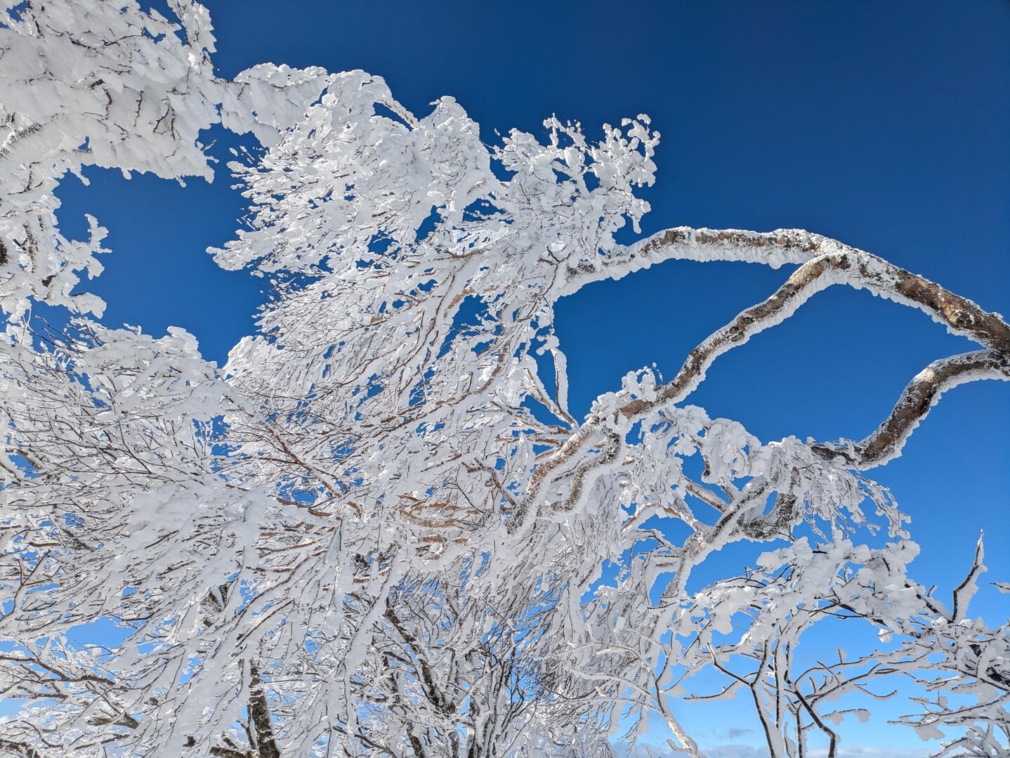 駒ヶ岳・黒檜山（赤城山）4th / たか@さいたまさんの赤城山・黒檜山・荒山の活動日記 | YAMAP / ヤマップ