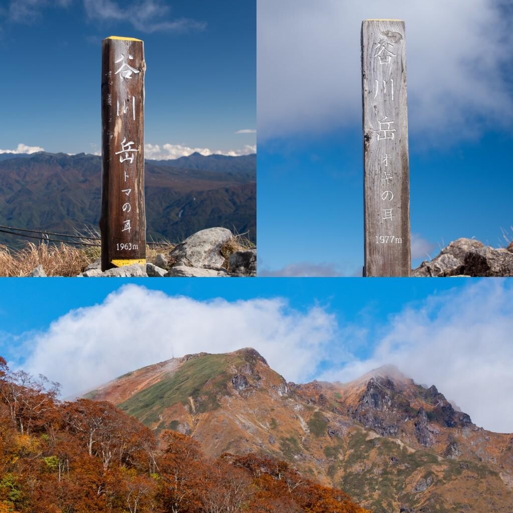 谷川岳 / Hazzie.さんの谷川岳・七ツ小屋山・大源太山の活動データ | YAMAP / ヤマップ