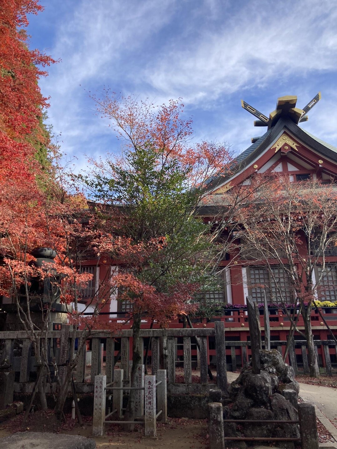 紅葉の大山🍁 / みみずく⛰さんの丹沢山の活動データ | YAMAP / ヤマップ