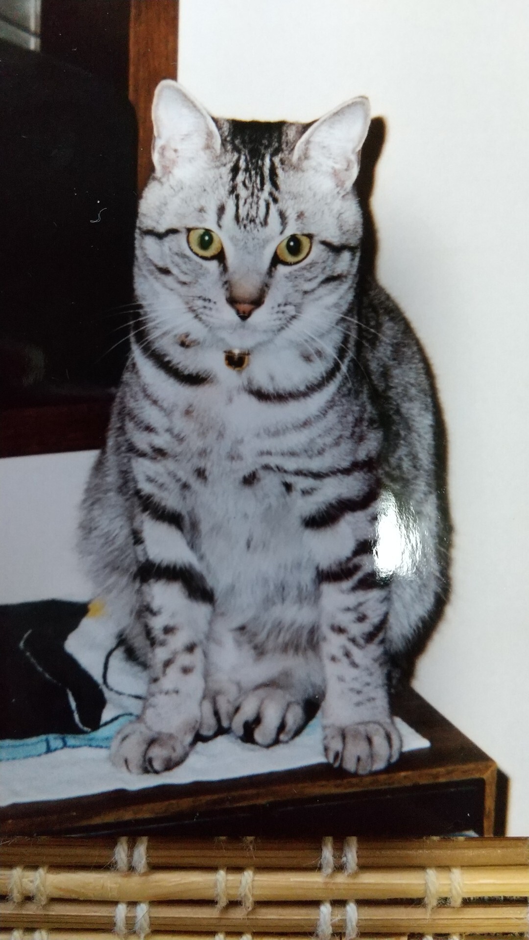 hazimeのページ | YAMAP / ヤマップ