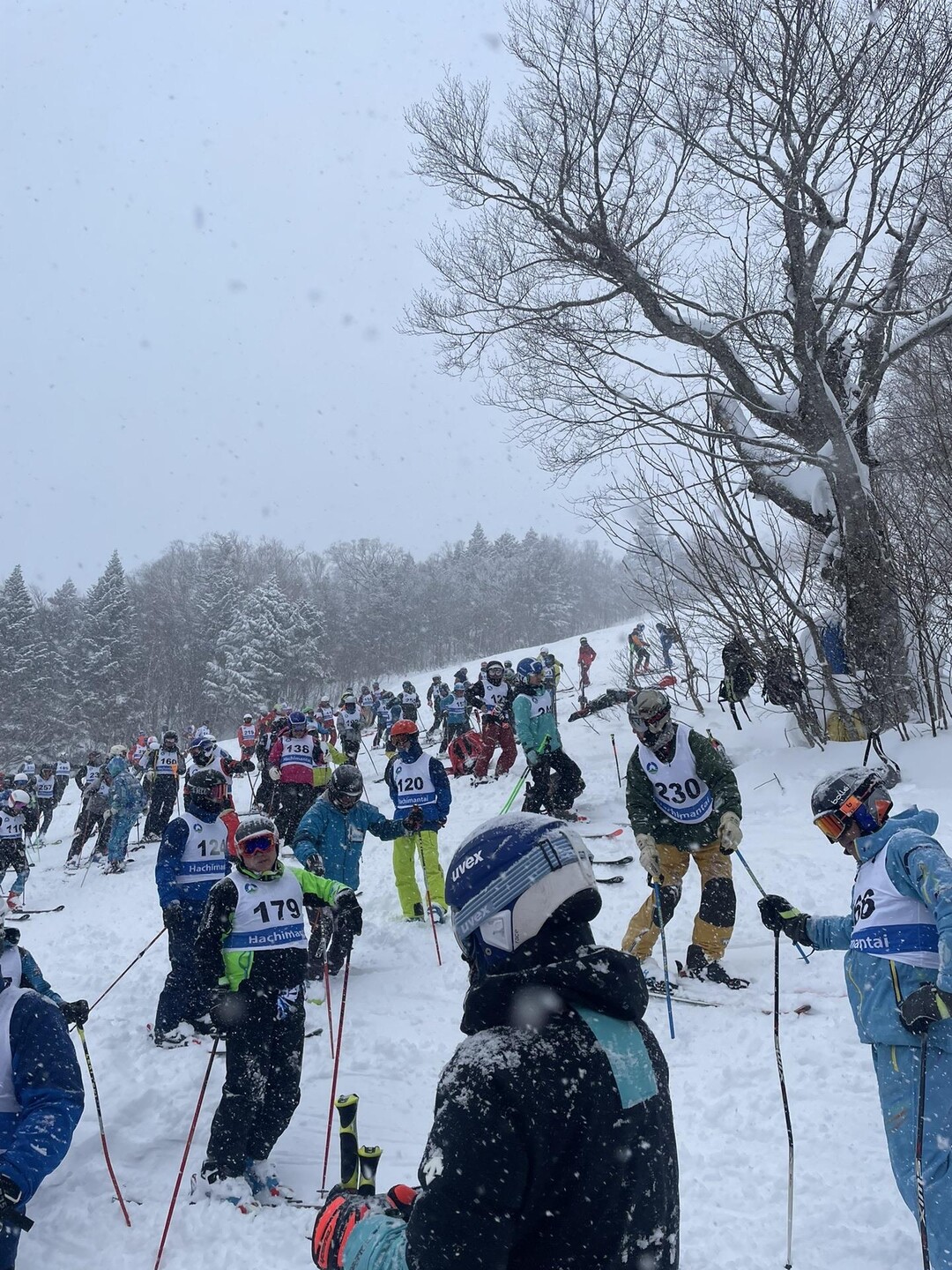 安比高原 / MAKOTOOOO!!!!さんの岩手山・八幡平・安比高原 50km トレイルの活動データ | YAMAP / ヤマップ