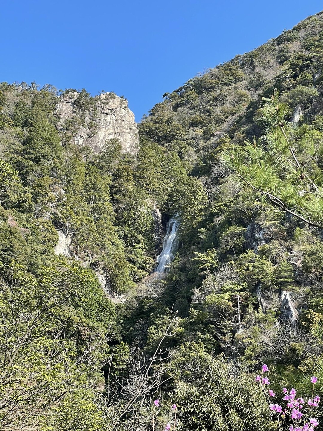 リトル比良縦走 / fjhiroさんの比良山地・武奈ヶ岳・釈迦岳の活動データ | YAMAP / ヤマップ