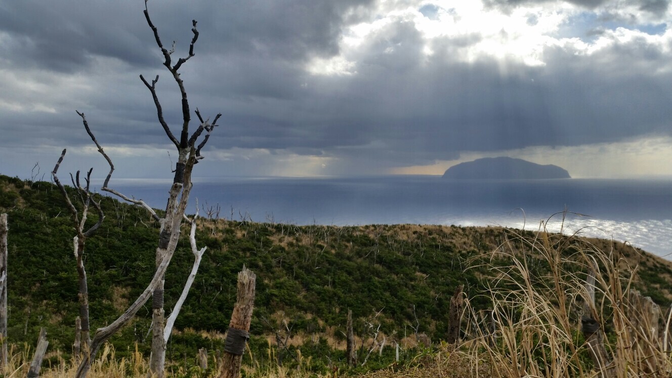 三宅島！雄山と火山島を体感する路(その1) / reoさんの三宅島の活動日記 | YAMAP / ヤマップ