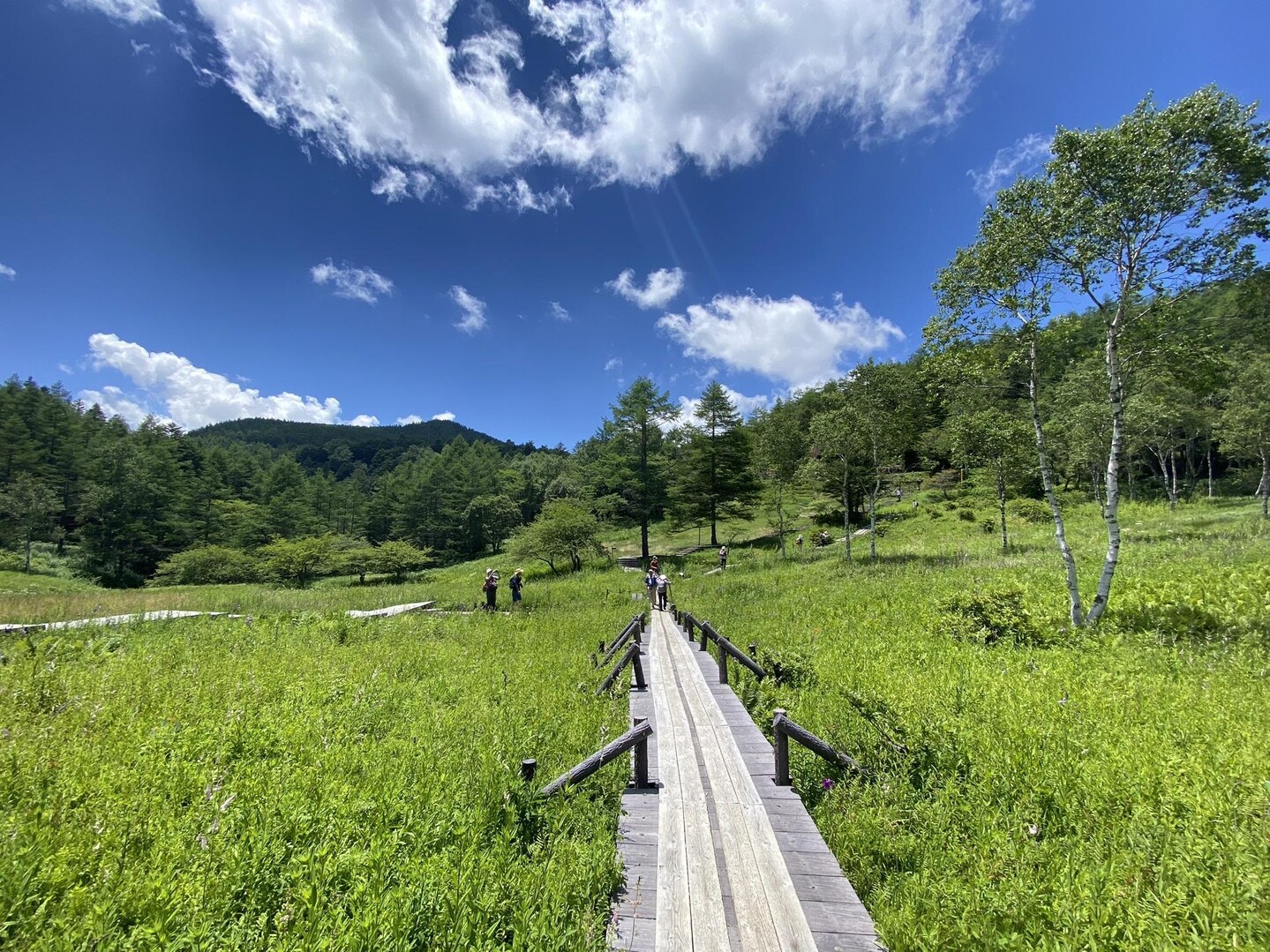 父と母を連れて入笠山へGO⛰️ / かきおさんの入笠山の活動データ | YAMAP / ヤマップ