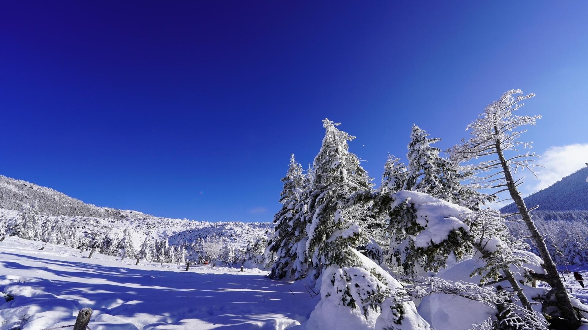 ピラタス蓼科スノーリゾートに行って来まし... / uchidamaさんのモーメント | YAMAP / ヤマップ