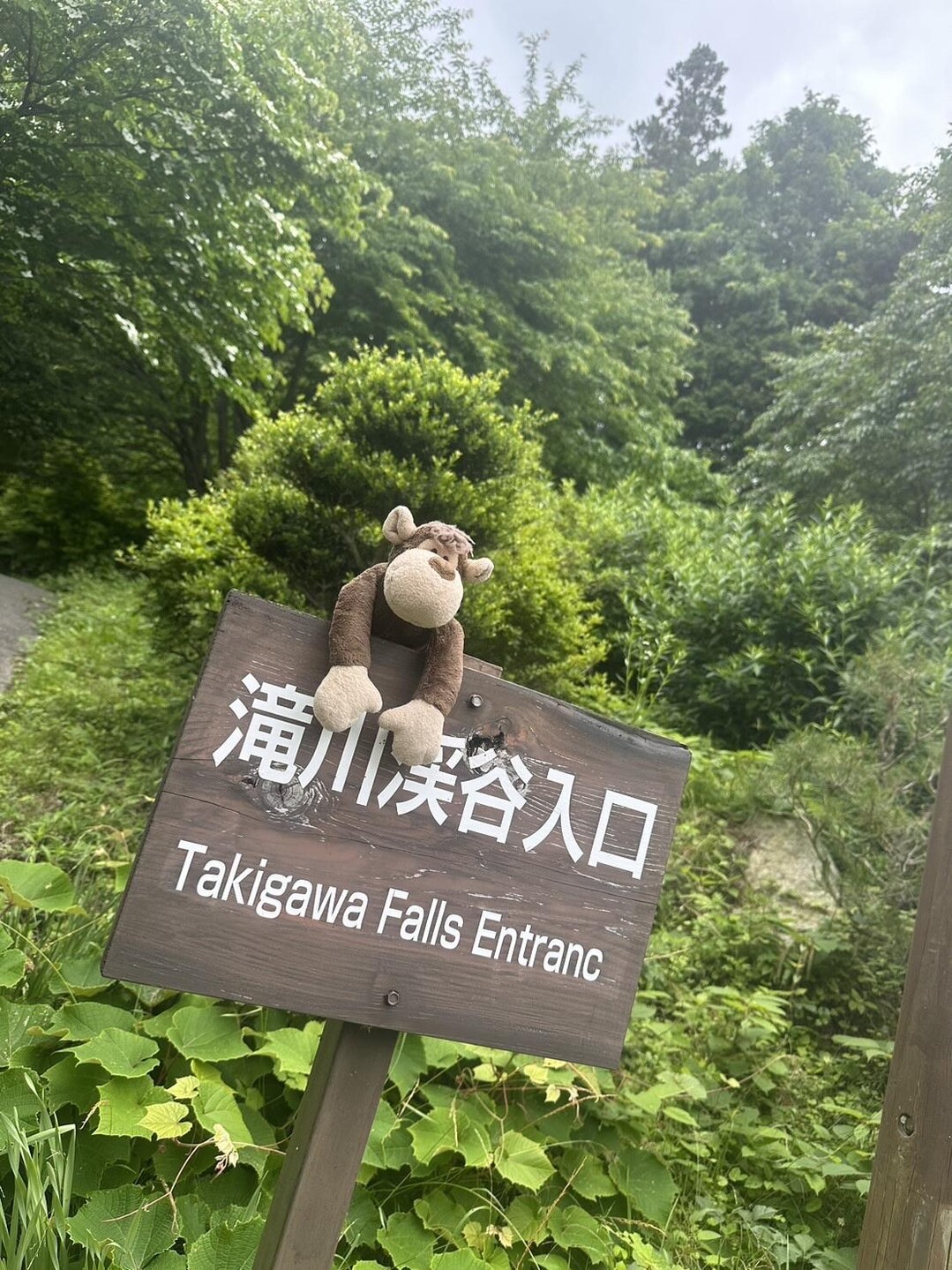 滝川渓谷 to 家族 / ZAKIPさんの滝川渓谷の活動データ | YAMAP / ヤマップ