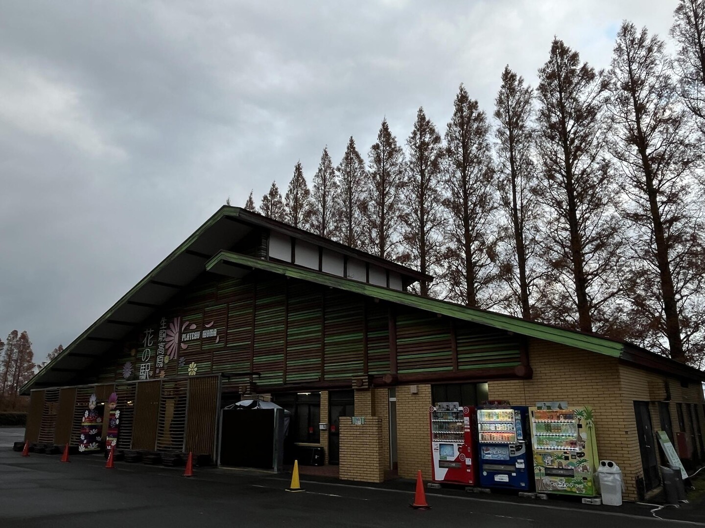 フォト散歩🚶 生駒高原のメタセコイ... / hideさんのモーメント | YAMAP / ヤマップ