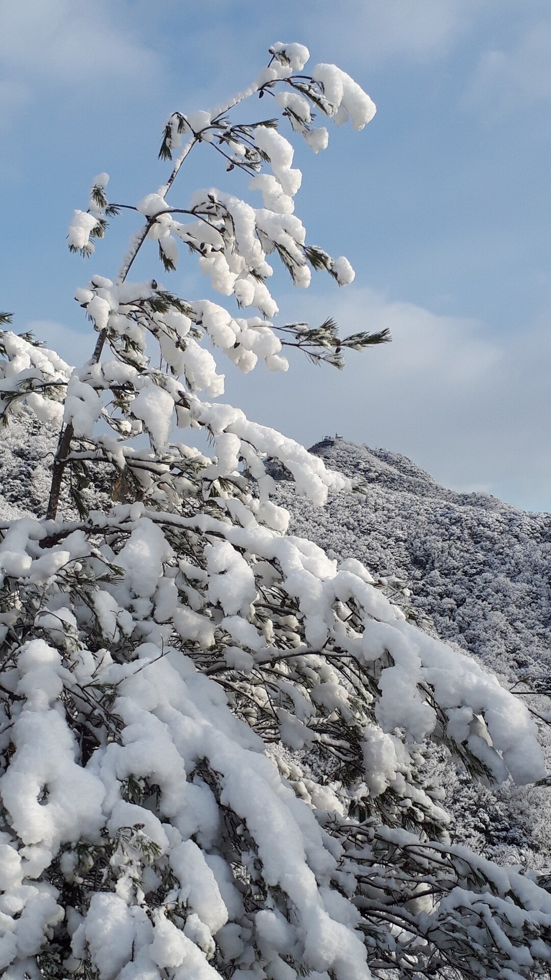 【今日は稲荷山から】 おはようございま... / ☆•*¨*•.¸¸🧞‍♂️ Genie (ma-2) 🧞‍♂️•*¨*•.¸¸☆さんのモーメント | YAMAP / ヤマップ