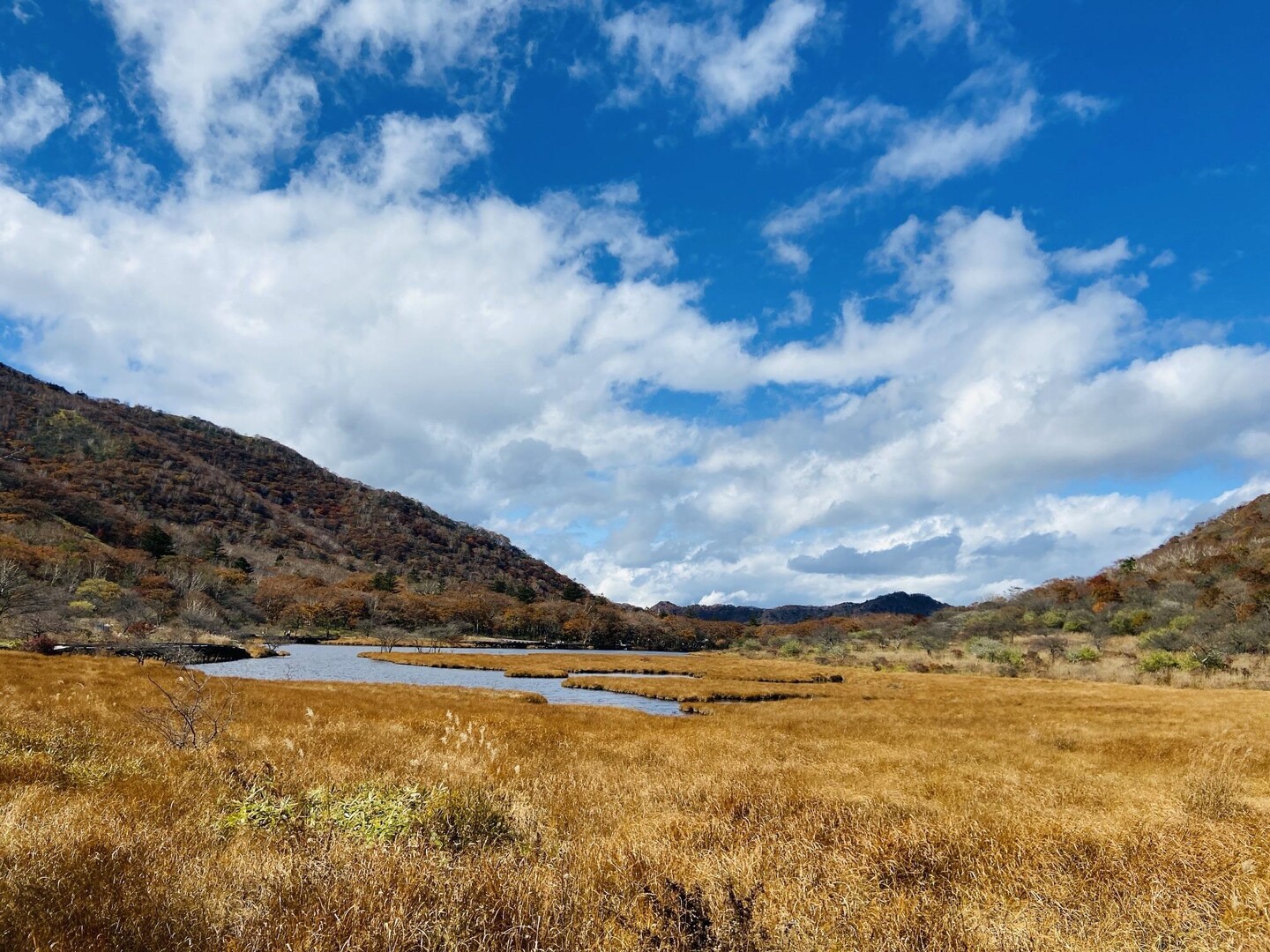 黒檜山・駒ヶ岳・篭山 / Annさんの赤城山・黒檜山・荒山の活動データ | YAMAP / ヤマップ
