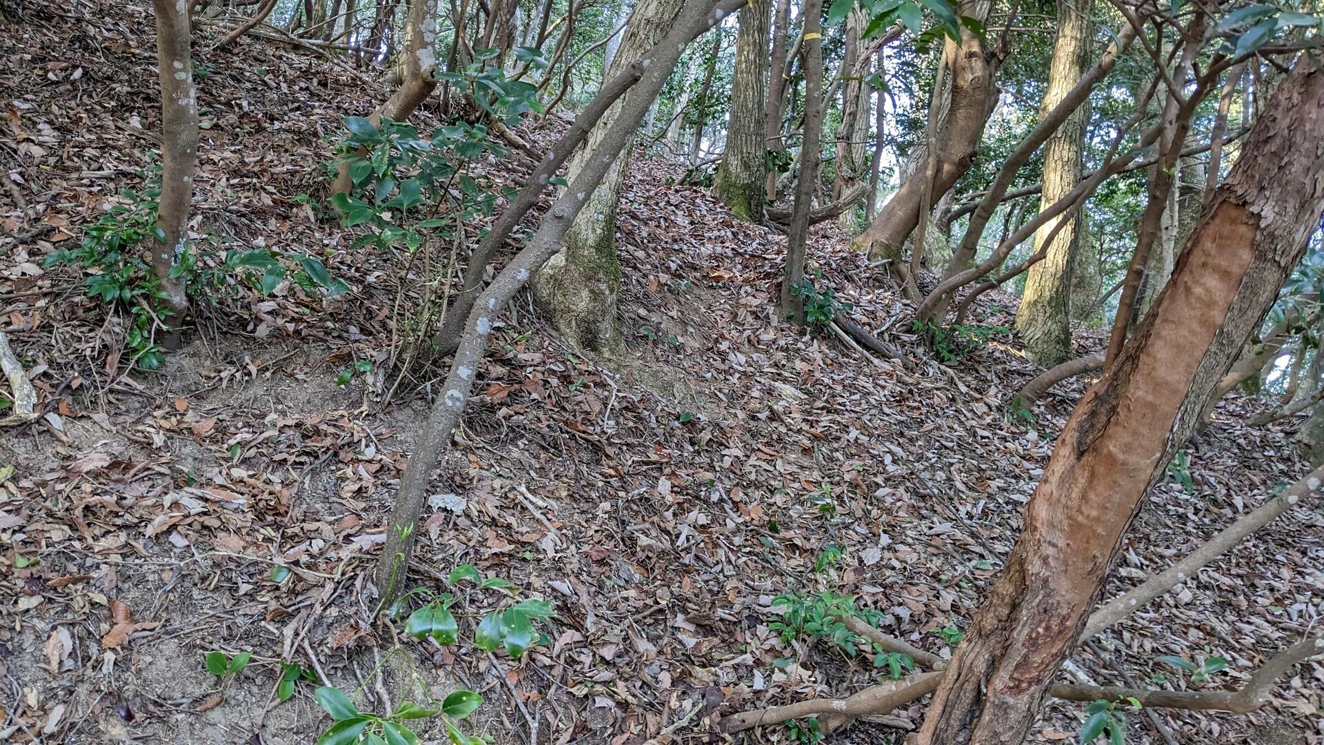 Assan Tineさんの投稿したフィールドメモ | YAMAP / ヤマップ