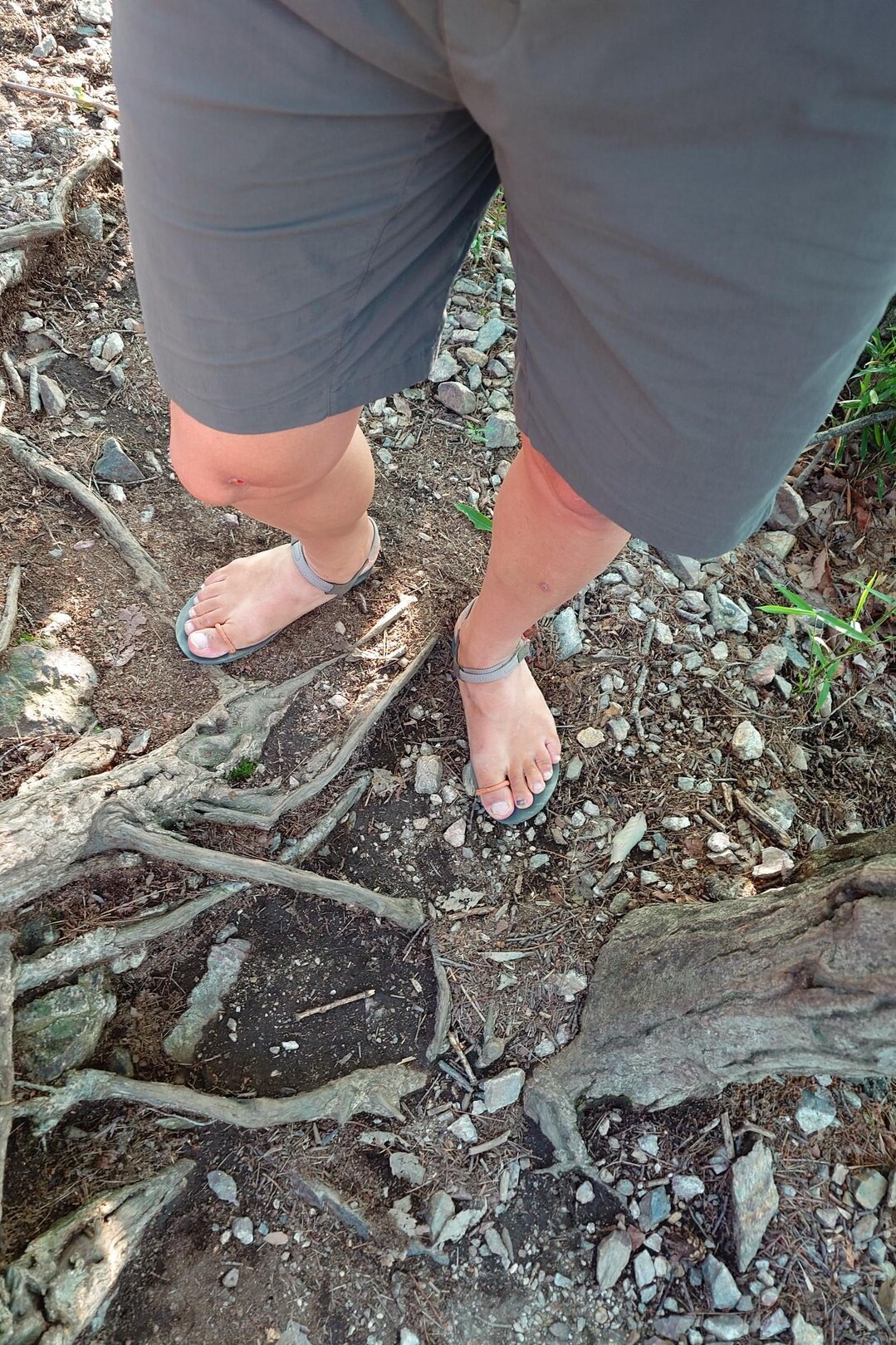 首肩バキバキな朝 Wt+5kg 29分登頂 / ta2さんの鳴神山・吾妻山の活動データ | YAMAP / ヤマップ