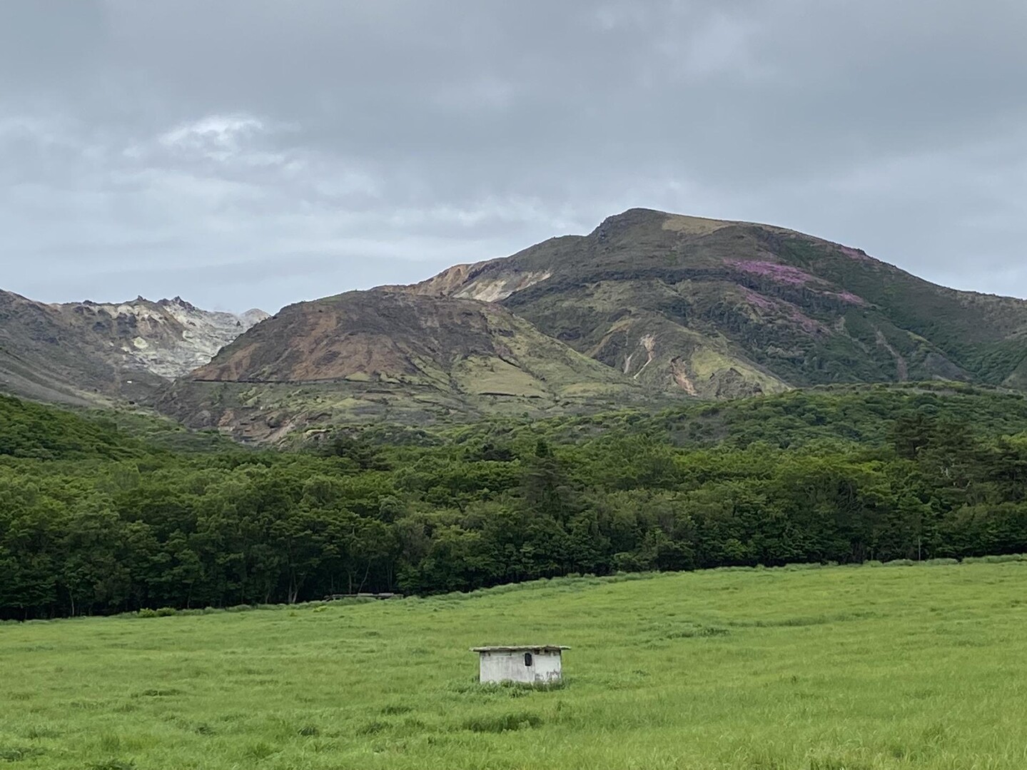 長者原 タデ原湿原散策コース-2023-06-11 / YaMaPeeさんの九重山（久住山）・大船山・星生山の活動データ | YAMAP / ヤマップ