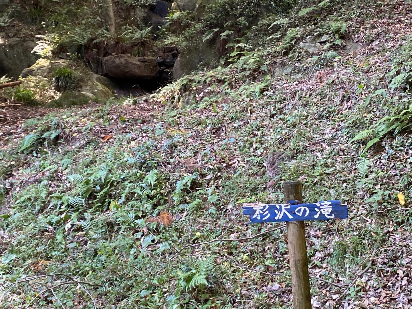 Gomaさんの投稿したフィールドメモ | YAMAP / ヤマップ