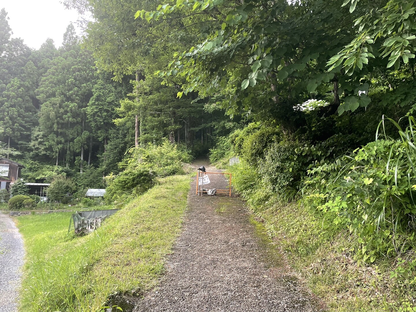 【熊に遭遇‼︎奥多摩縦走（後半）】都民の森〜三頭山〜御前山〜大岳山〜御嶽山〜日の出山〜武蔵五日市駅 三頭山・槇寄山・土俵岳の写真46枚目