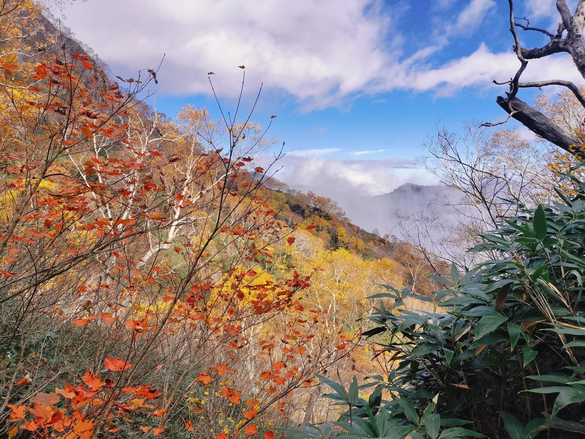 火打山・妙高山 / アナゴさんさんの妙高山・火打山の活動データ | YAMAP / ヤマップ