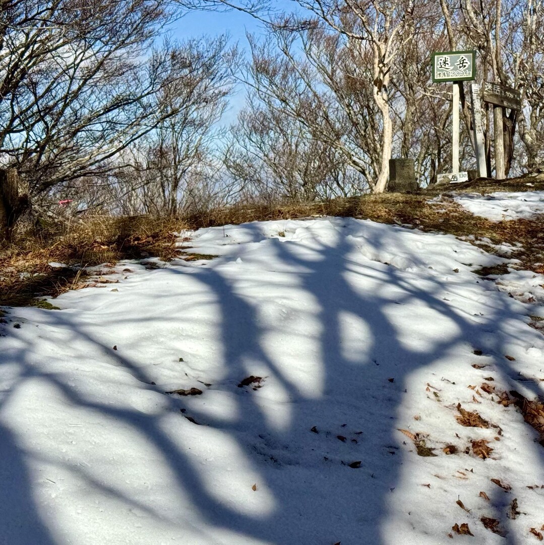 20241201迷岳 / In the wind.iseさんのウォーキングの活動データ | YAMAP / ヤマップ