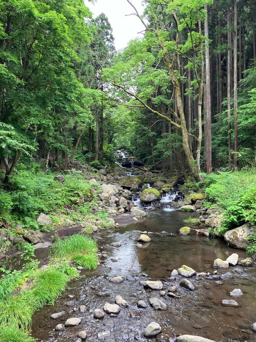 金時山 / satoaさんの金時山・明神ヶ岳の活動データ | YAMAP / ヤマップ