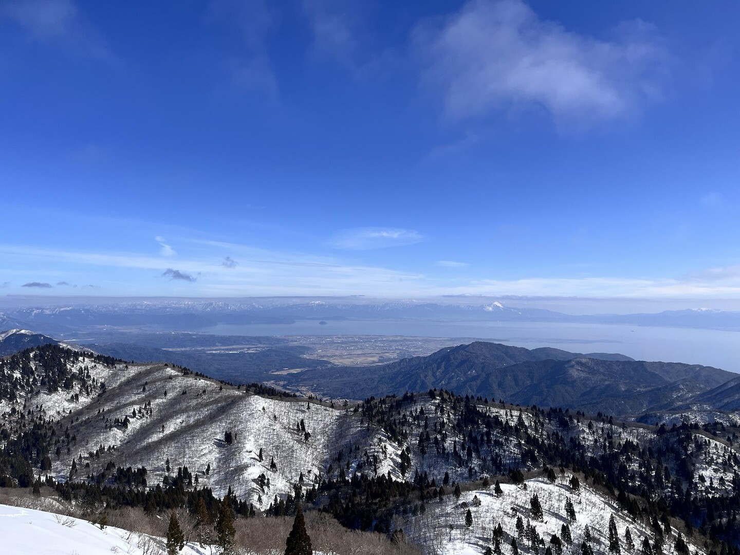 イン谷〜武奈ヶ岳 / mh_trskさんの比良山地・武奈ヶ岳・釈迦岳の活動日記 | YAMAP / ヤマップ