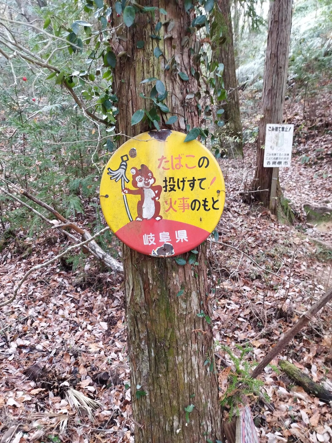 勝山・明王山・金毘羅山・八木山・双子山・愛宕山・岩滝白山 / masaさんの各務原アルプス（関南アルプス）・八木三山の活動データ | YAMAP / ヤマップ