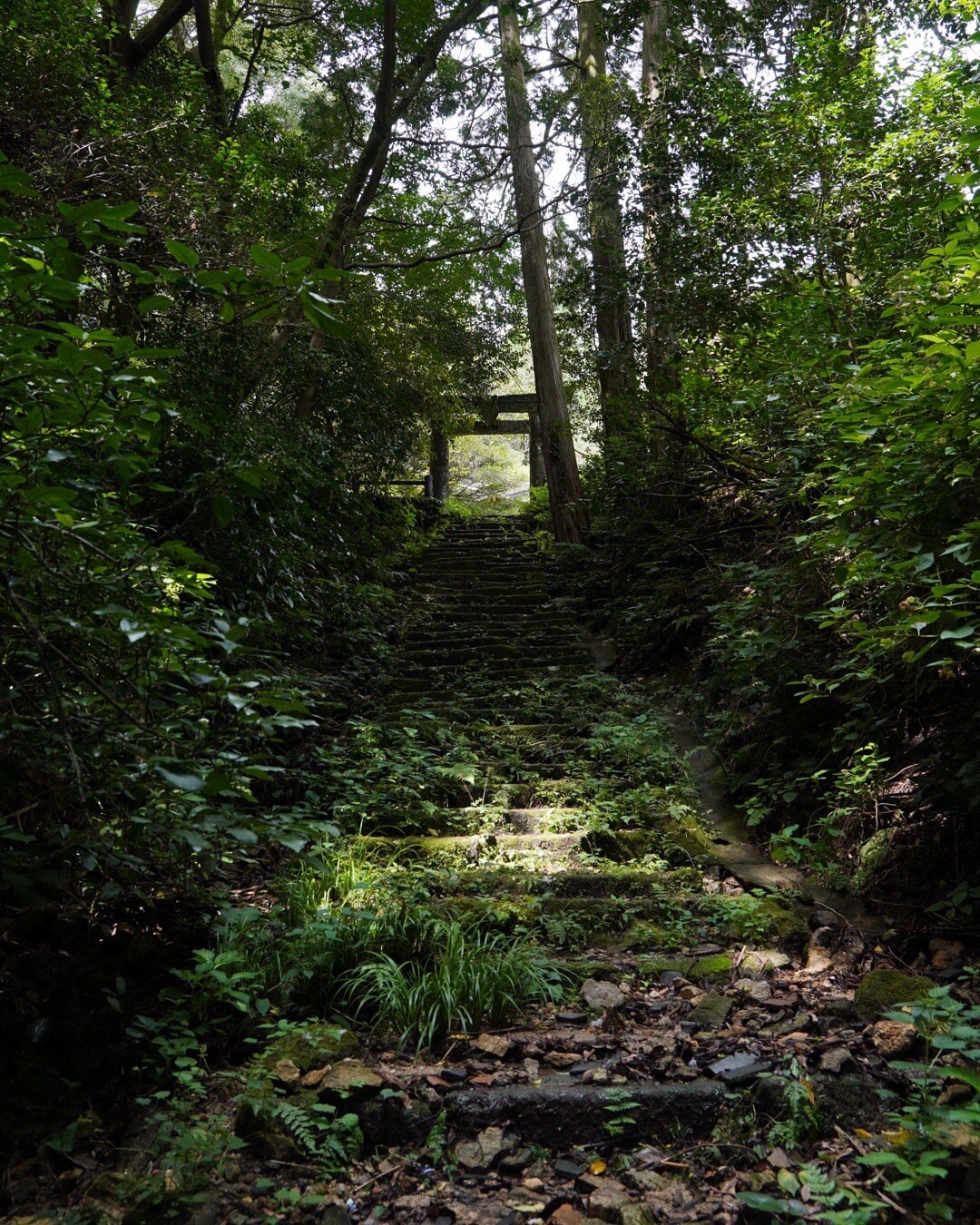 黒髪山 / SiN.chanさんの黒髪山・青螺山の活動データ | YAMAP / ヤマップ