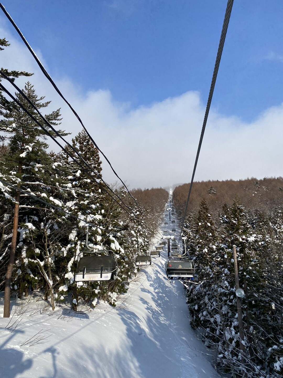 2023.1.8 シーズン13日目 @ア... / saraさんのモーメント | YAMAP / ヤマップ