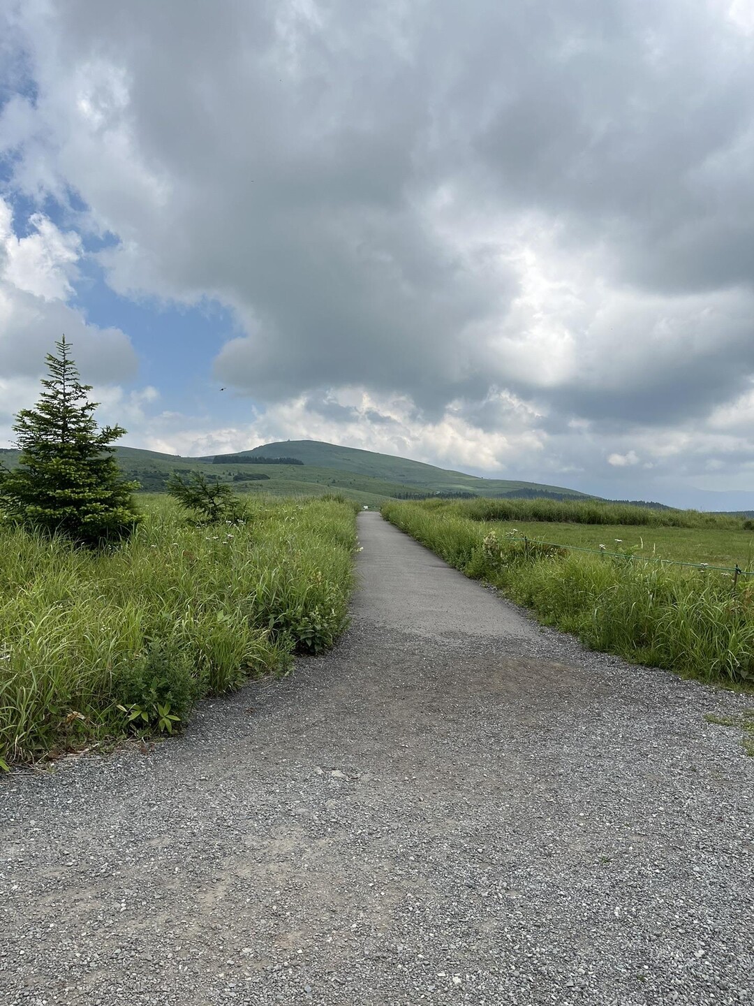 今日はYAMAPではなくジオグラフィカと... / Nano Yamazukiさんのモーメント | YAMAP / ヤマップ