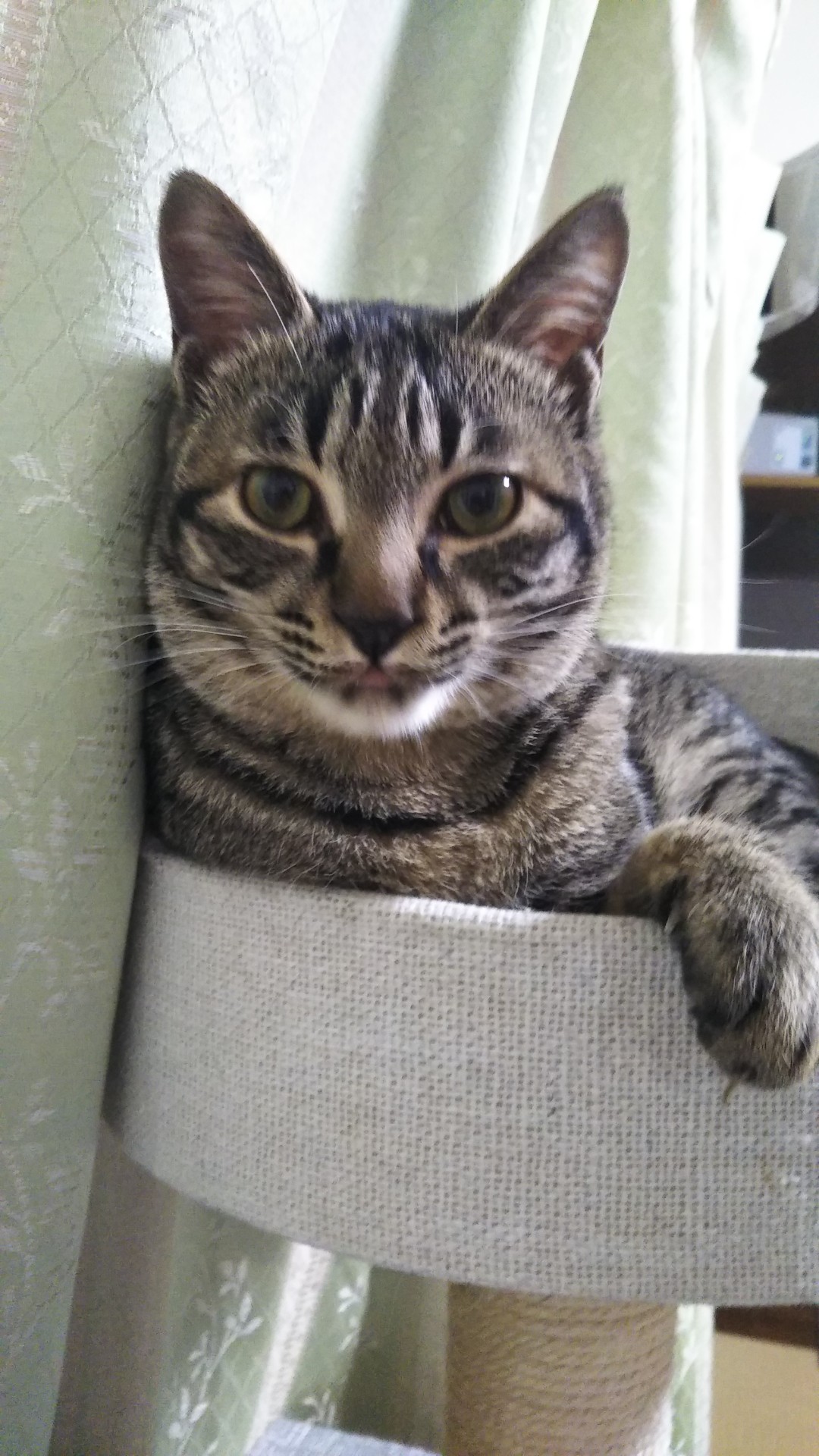 こうこのページ | YAMAP / ヤマップ