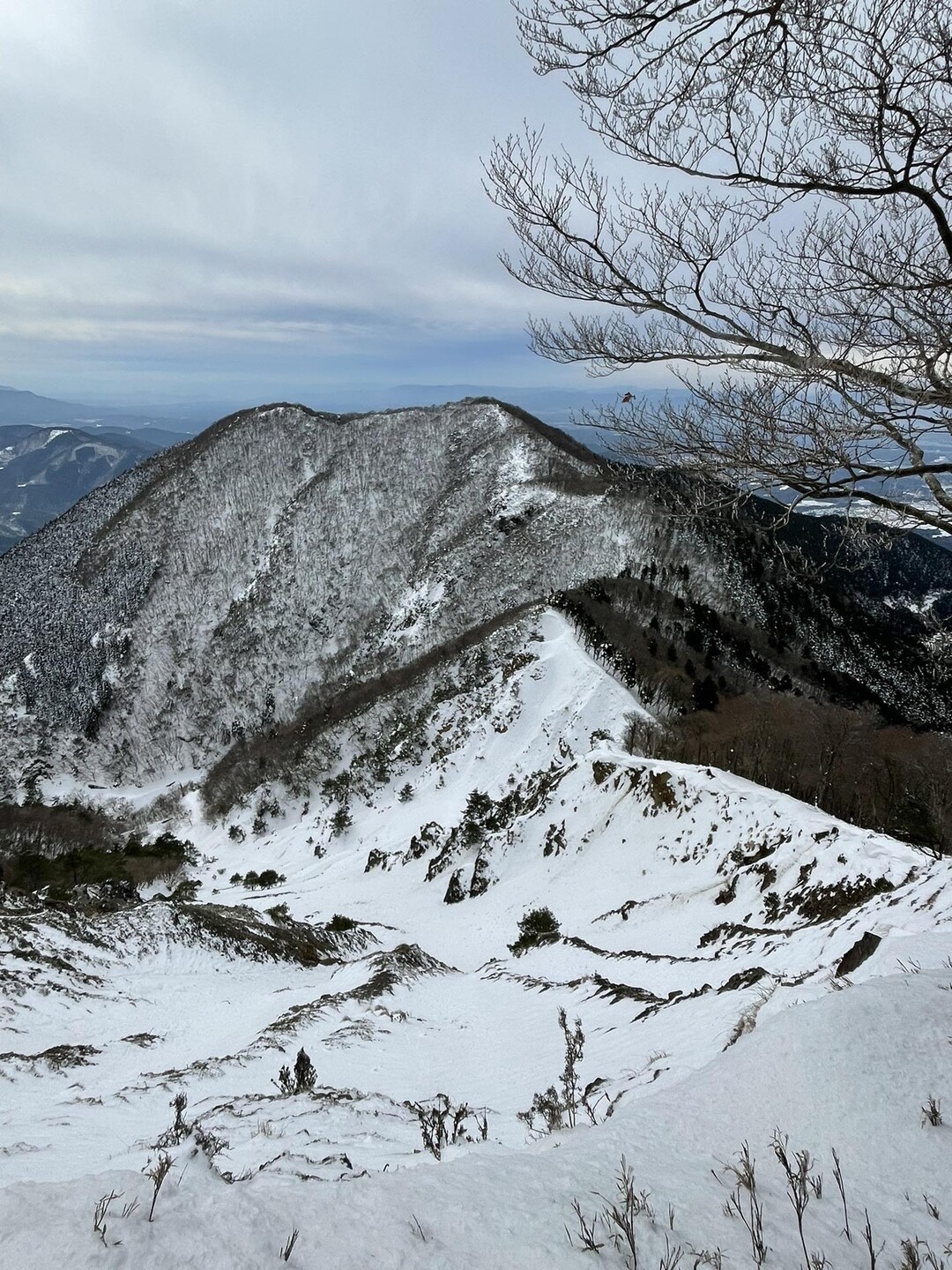 水無山・水無山南峰・綿向山・竜王山 / Bobさんの綿向山の活動データ | YAMAP / ヤマップ