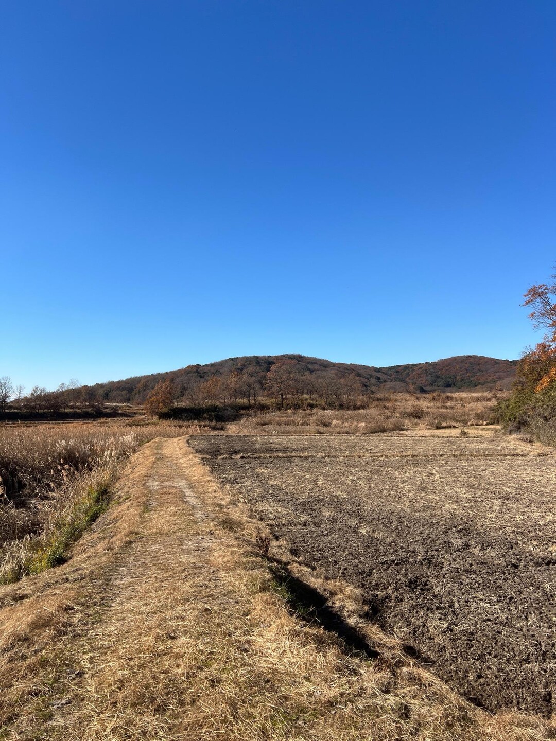 山歩、宝篋山はまだ秋、、 / shuさんの宝篋山・富岡山の活動データ | YAMAP / ヤマップ