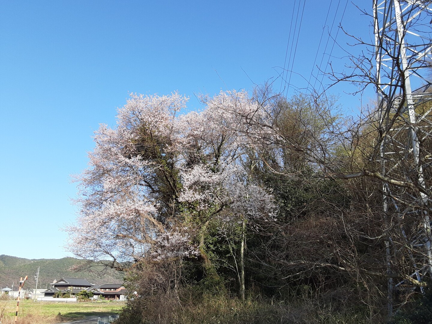 3/27 夕方Ride / yu16さんのモーメント | YAMAP / ヤマップ