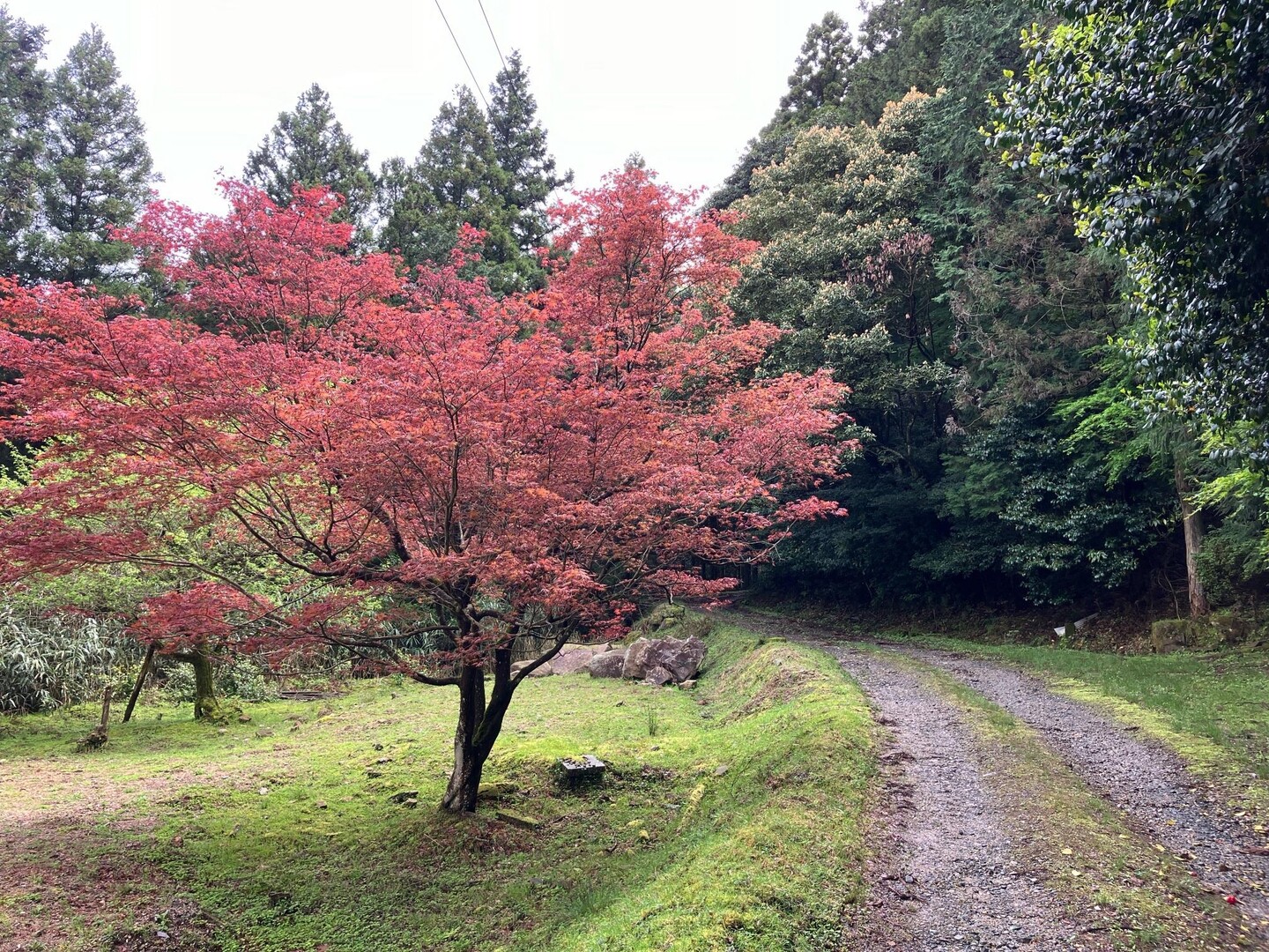 大根地山&クライミング🧗‍♀️（R6年度7回目） / かべちゃんさんの宝満山・三郡山・若杉山の活動データ | YAMAP / ヤマップ