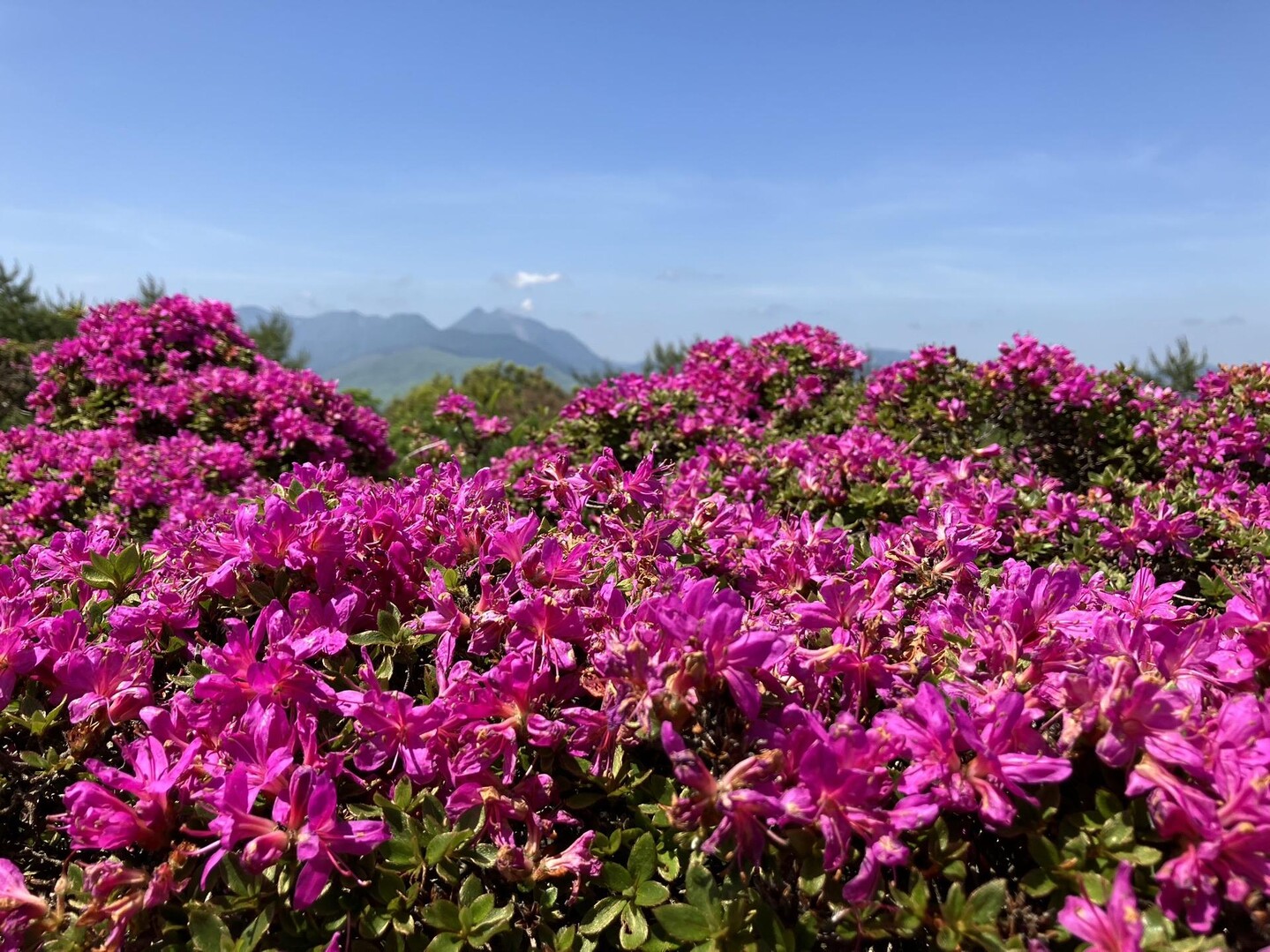 経塚山・七つ石山・板川山・古城山・百合野山・城山 / ☆yu-ka☆さんの経塚山の活動データ | YAMAP / ヤマップ