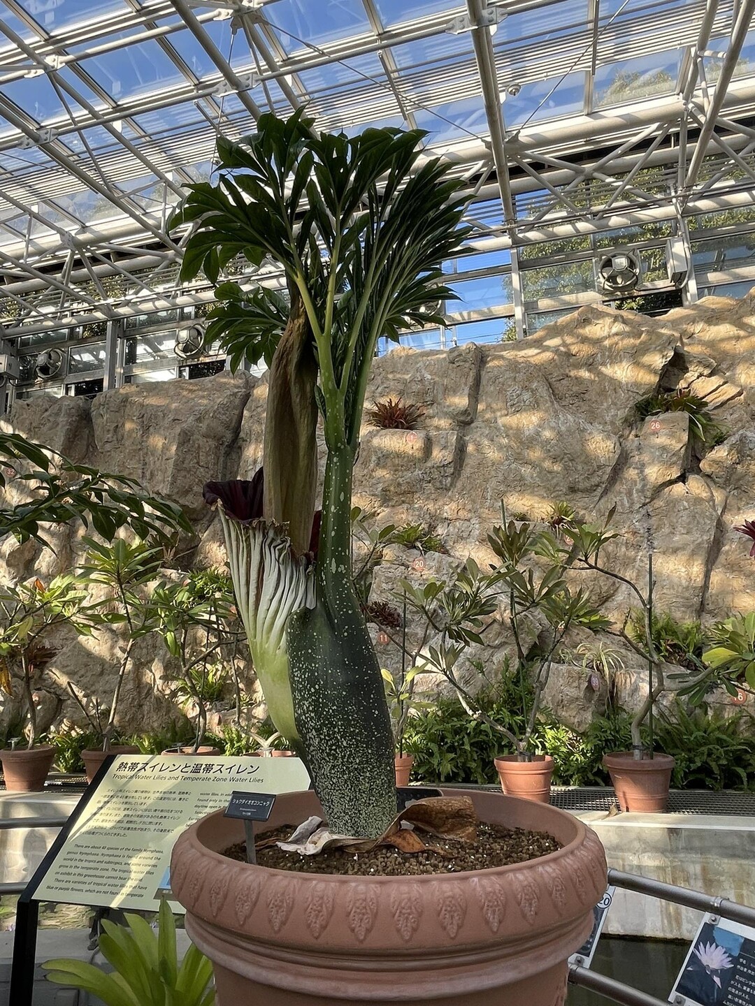 Ushi924さんの投稿したフィールドメモ | YAMAP / ヤマップ