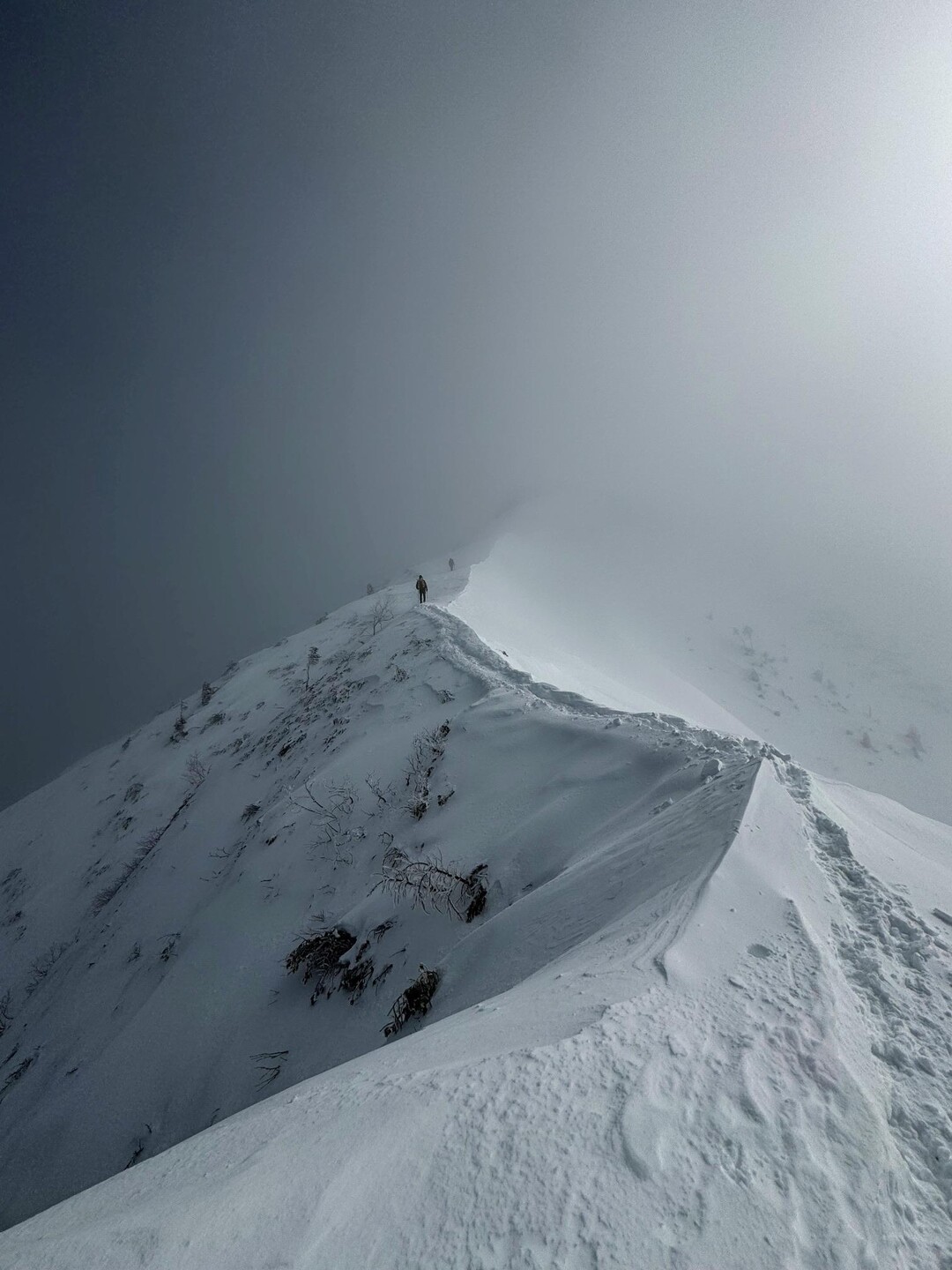 【VR】カスミンᨒ𖡼西尾根 * / suzuo︎︎︎☺︎ ︎さんの霞沢岳の活動データ | YAMAP / ヤマップ