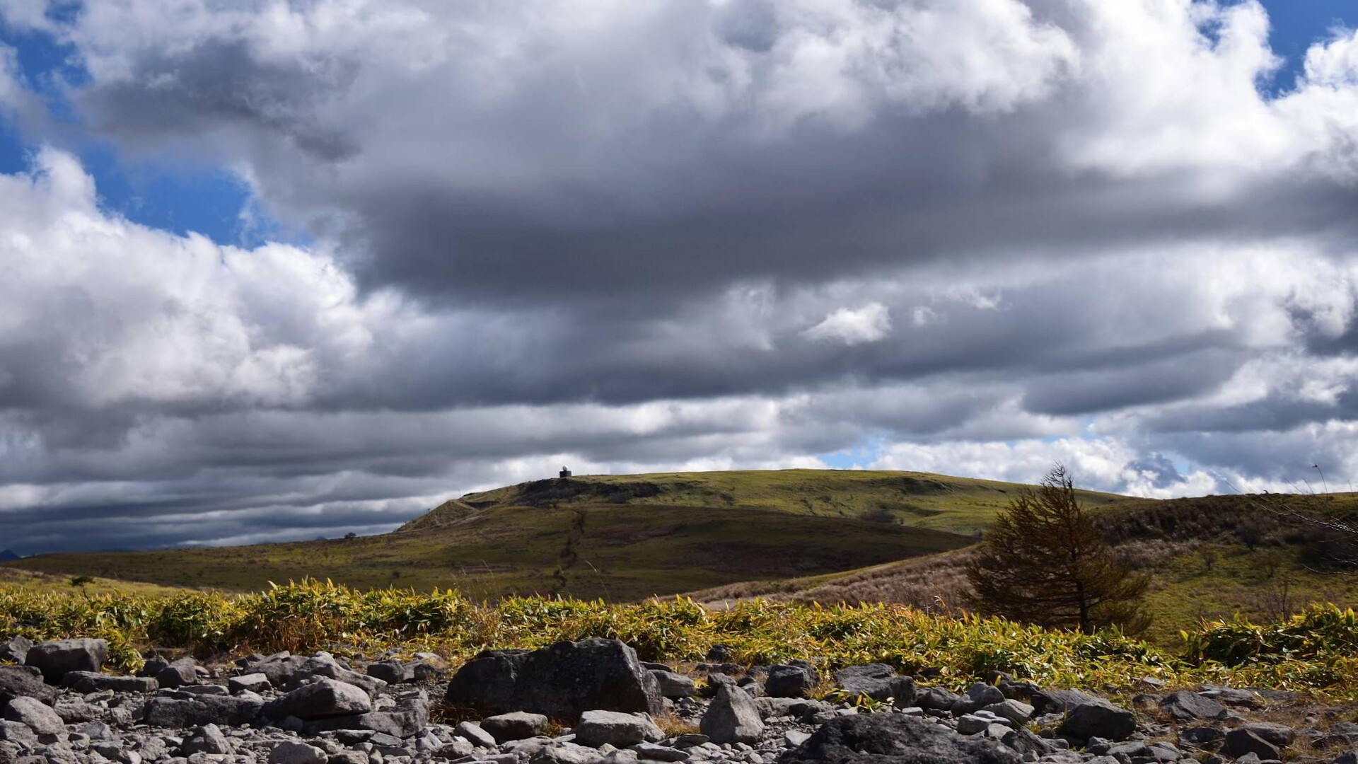 蝶々深山・霧ヶ峰（車山） / Shrikeさんの霧ヶ峰・車山・大笹峰の活動データ | YAMAP / ヤマップ