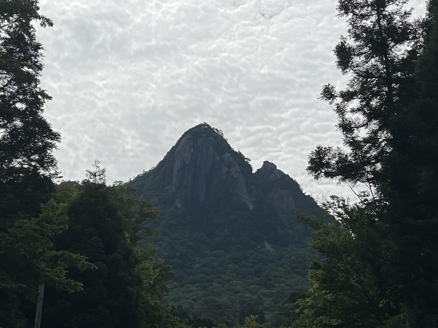 無理しちゃダメですね。鉾岳 / ユーザーDubyさんの大崩山・五葉岳・新百姓山の活動日記 | YAMAP / ヤマップ