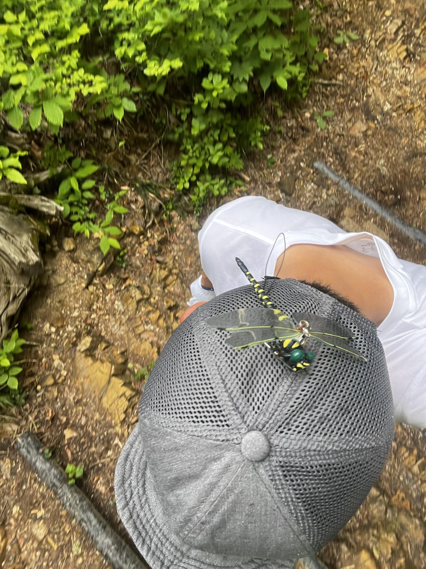 弥彦山 / yoshihiroさんの弥彦山・多宝山・雨乞山の活動データ | YAMAP / ヤマップ