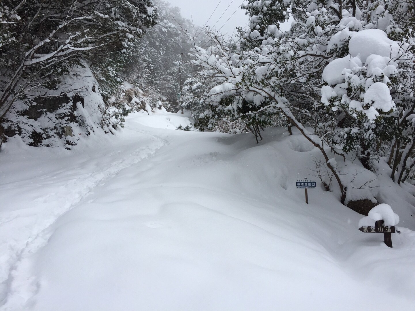 スノーシュー ハイクon the鈴鹿スカイライン / tinamtさんの御在所岳（御在所山）・雨乞岳の活動データ | YAMAP / ヤマップ