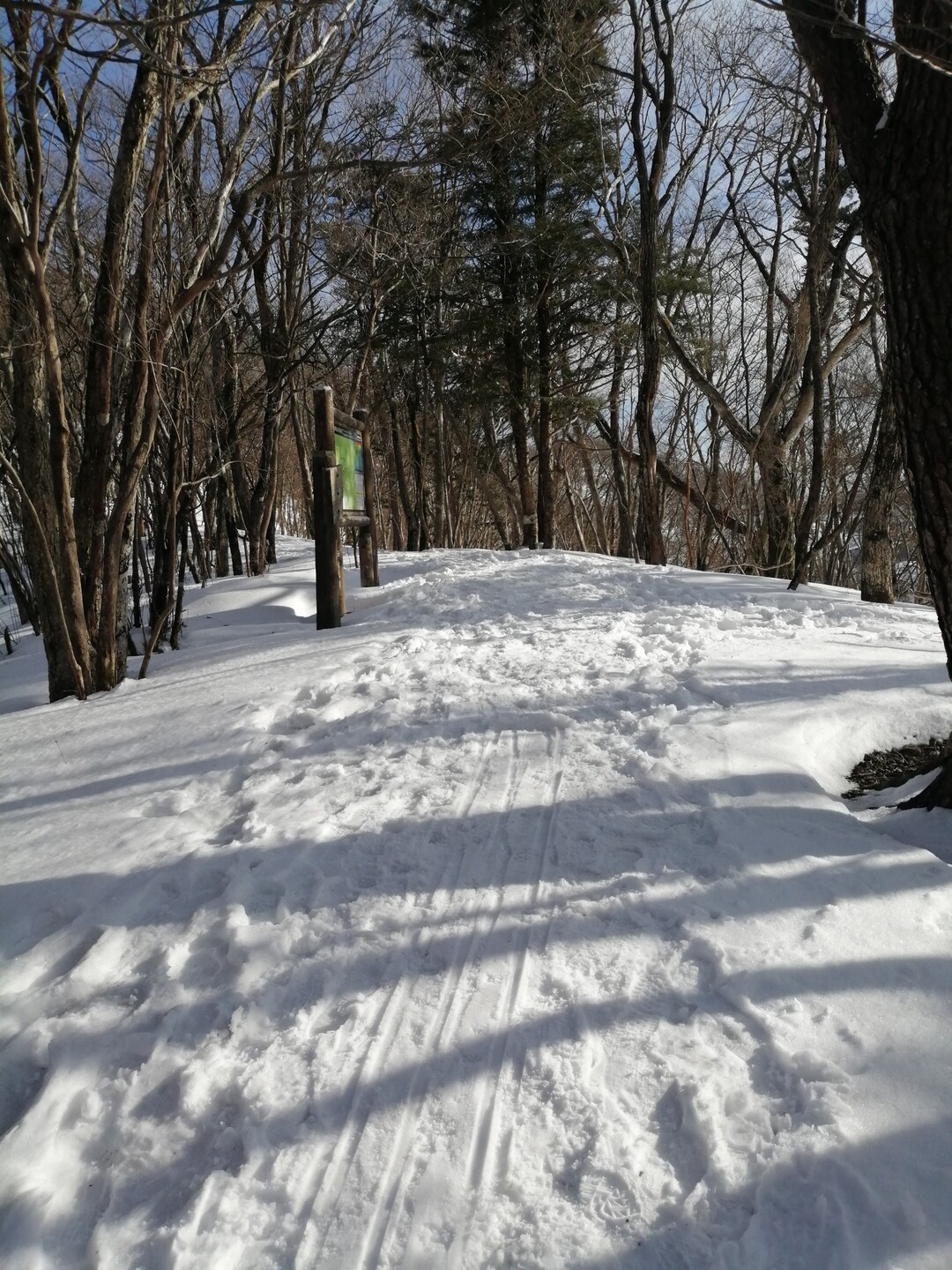 護摩壇山圧雪係... / my.さんのモーメント | YAMAP / ヤマップ