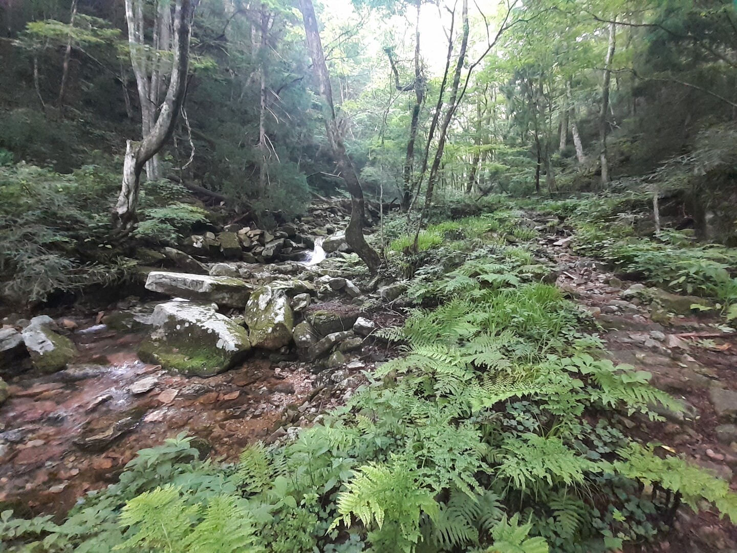 たかしさんの投稿したフィールドメモ | YAMAP / ヤマップ