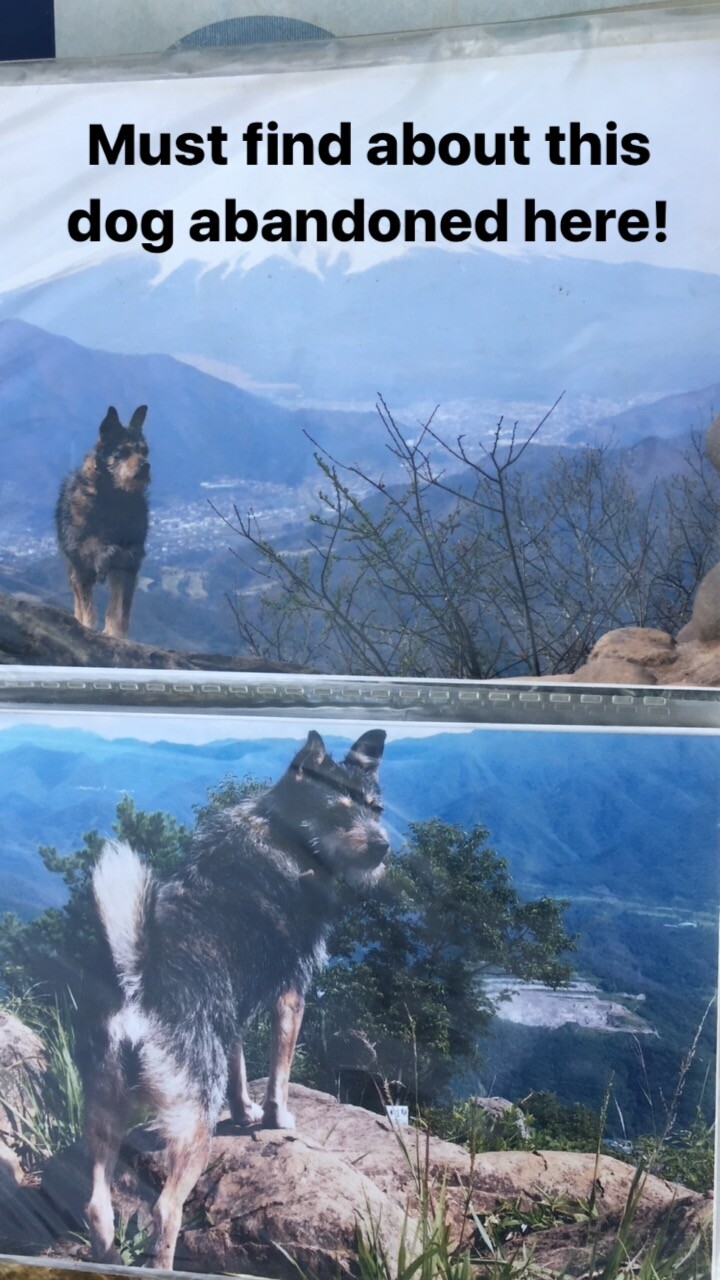 Takagawa san #41 / nDさんの高縄山・大月山・北三方ヶ森の活動データ | YAMAP / ヤマップ