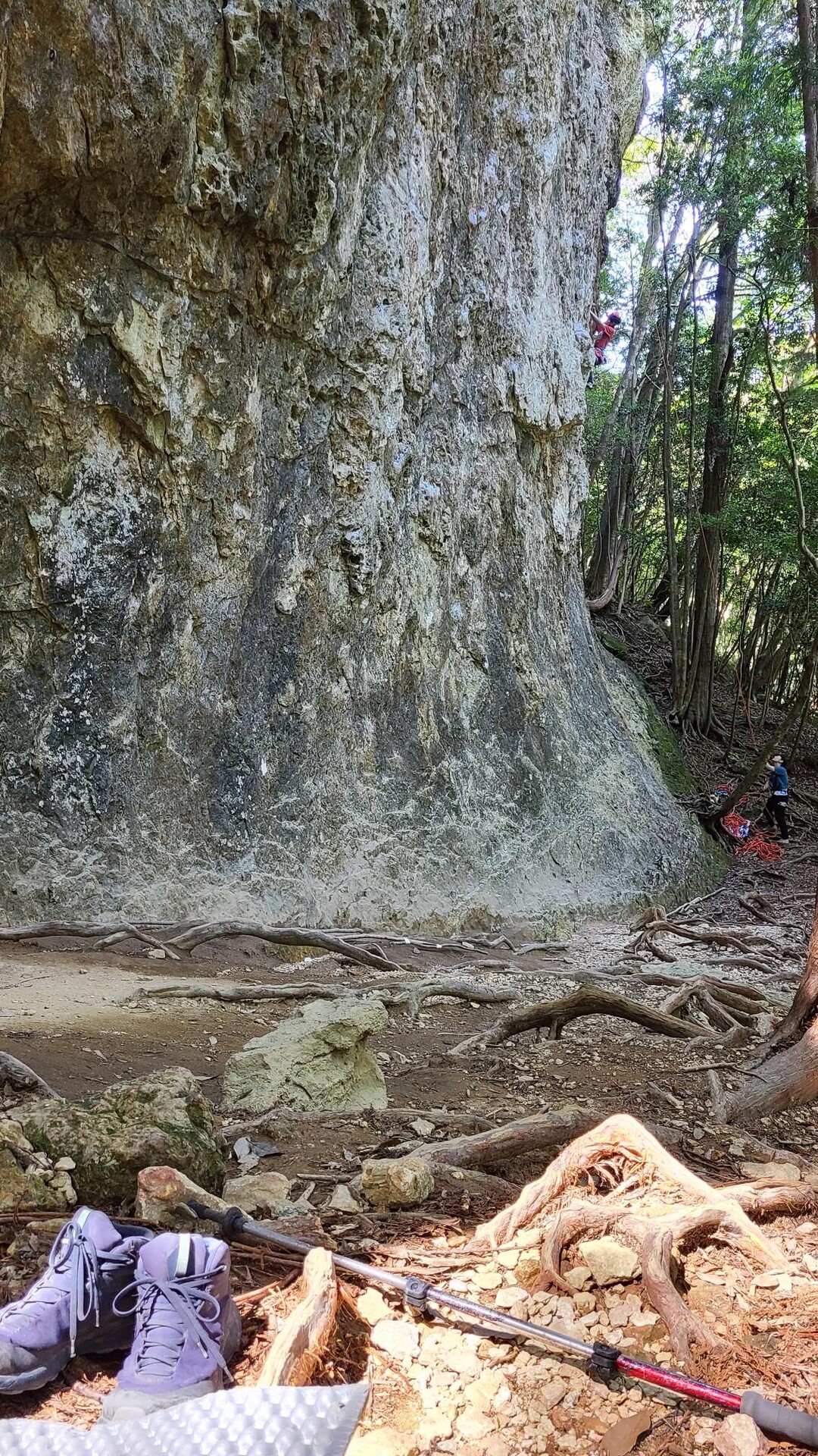 鳳来 がんこ 熱中症若しくは夏バテ / wolfさんの明神山（三ツ瀬明神山）の活動データ | YAMAP / ヤマップ