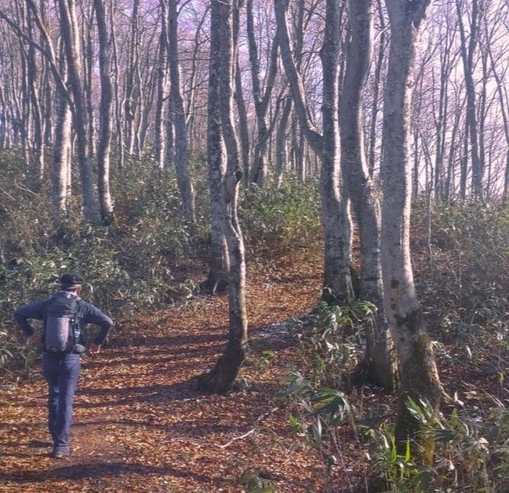 五ノ宮嶽 / canoeさんの五の宮岳・皮投岳の活動データ | YAMAP / ヤマップ