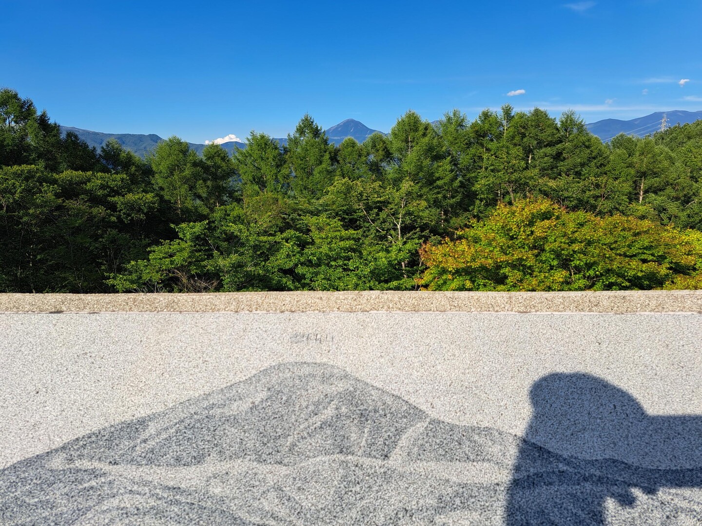 永明寺山 / itimiさんの永明寺山の活動データ | YAMAP / ヤマップ