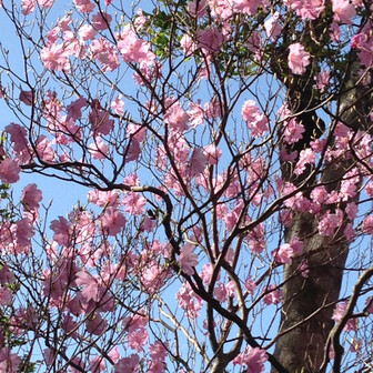 rebiのページ | YAMAP / ヤマップ