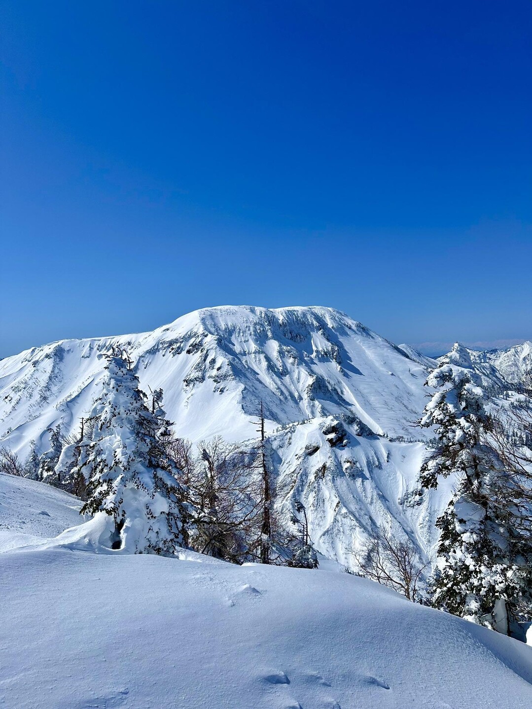 神楽ヶ峰 お手軽BC / PJさんの苗場山・赤倉山・佐武流山の活動データ | YAMAP / ヤマップ