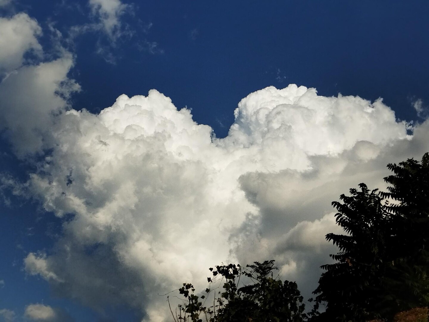 仕事終わりの5時すぎ。 入道雲がきれいだ... / おだや〜p(^-^)qさんのモーメント | YAMAP / ヤマップ